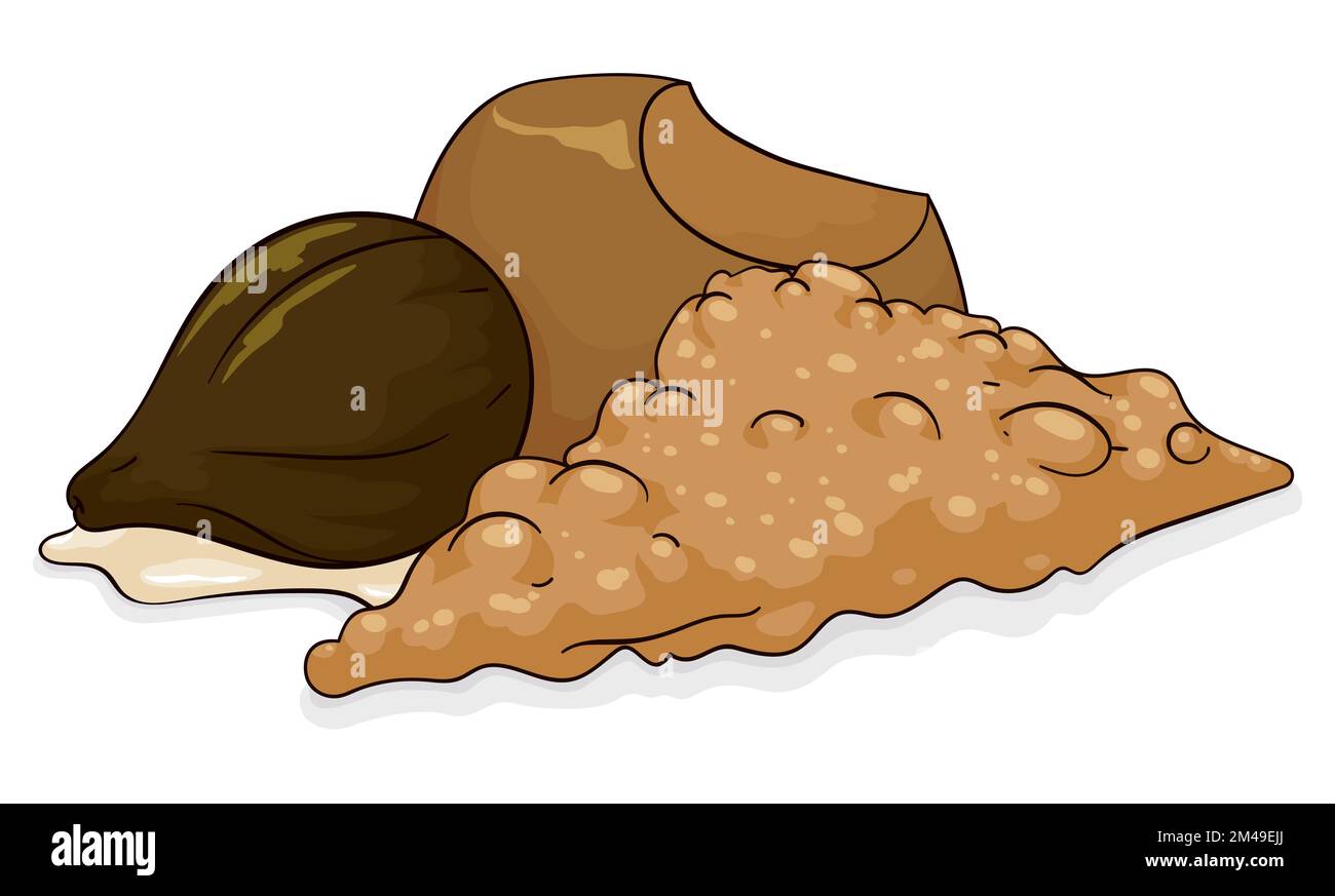 Traditional Colombian Food