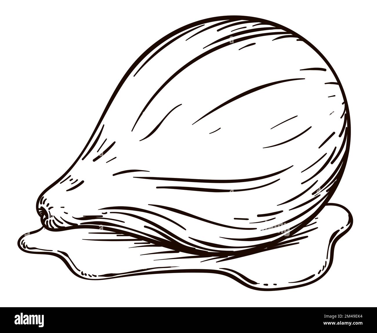 Delicious fig, soaked with sweet syrup. Design in hand drawn style over ...
