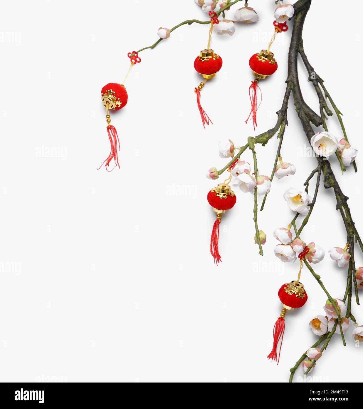Beautiful sakura with Chinese symbols on white background. New Year ...