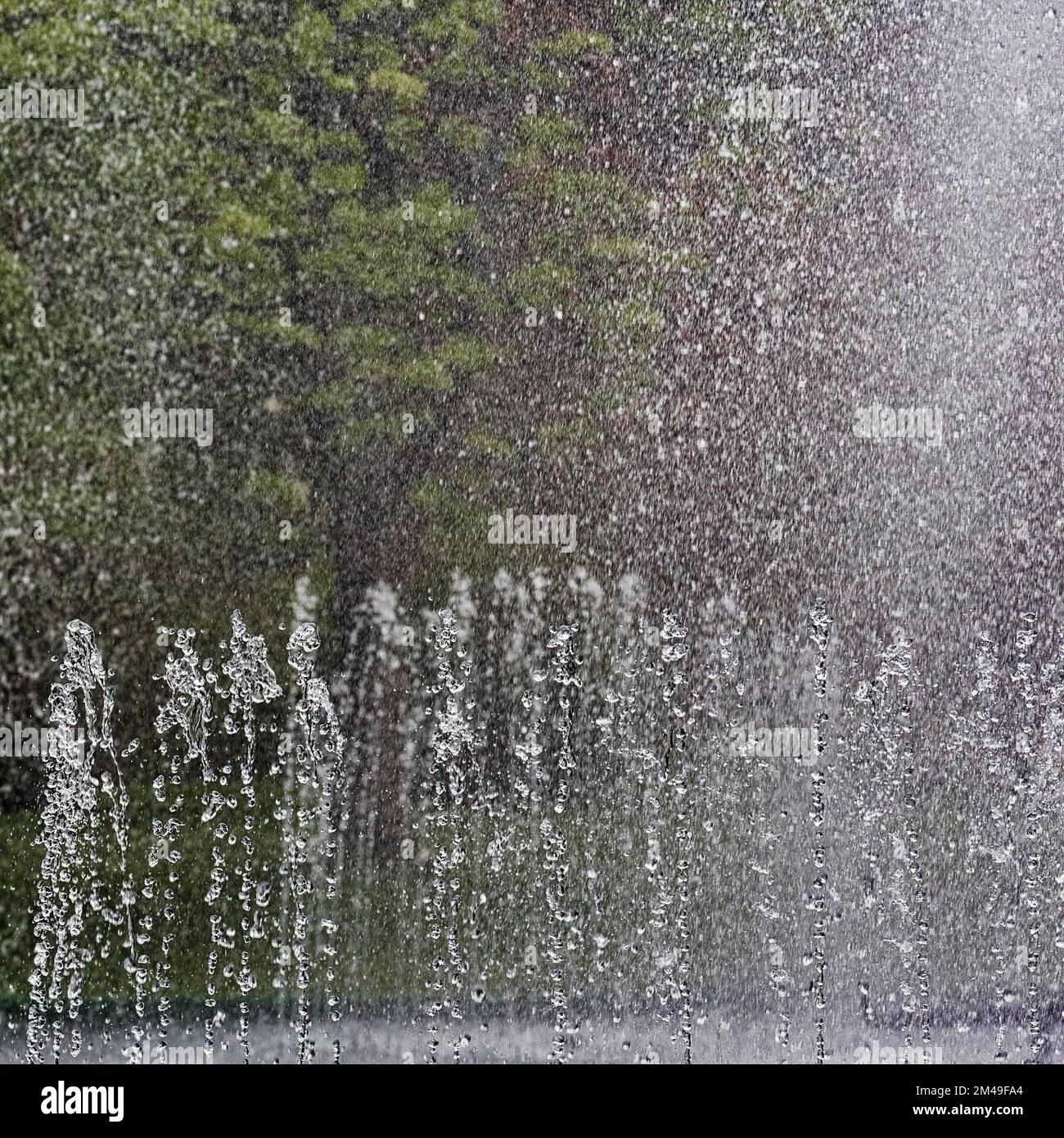 Water splashes, water fountains in front of trees in a park, close-up ...