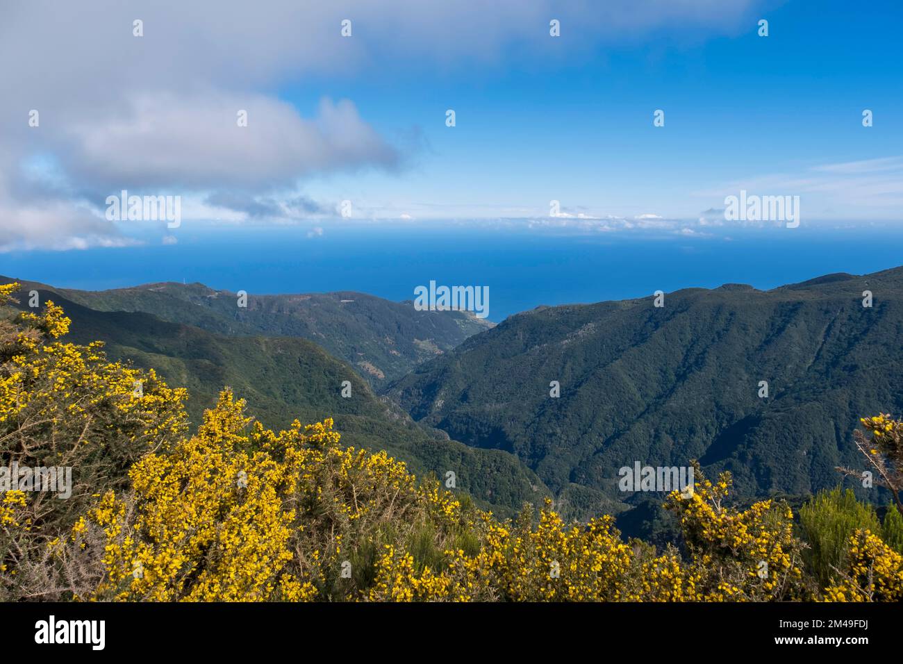 View from Miradouro do Rabacal, Paul da Serra plateau, Madeira ...