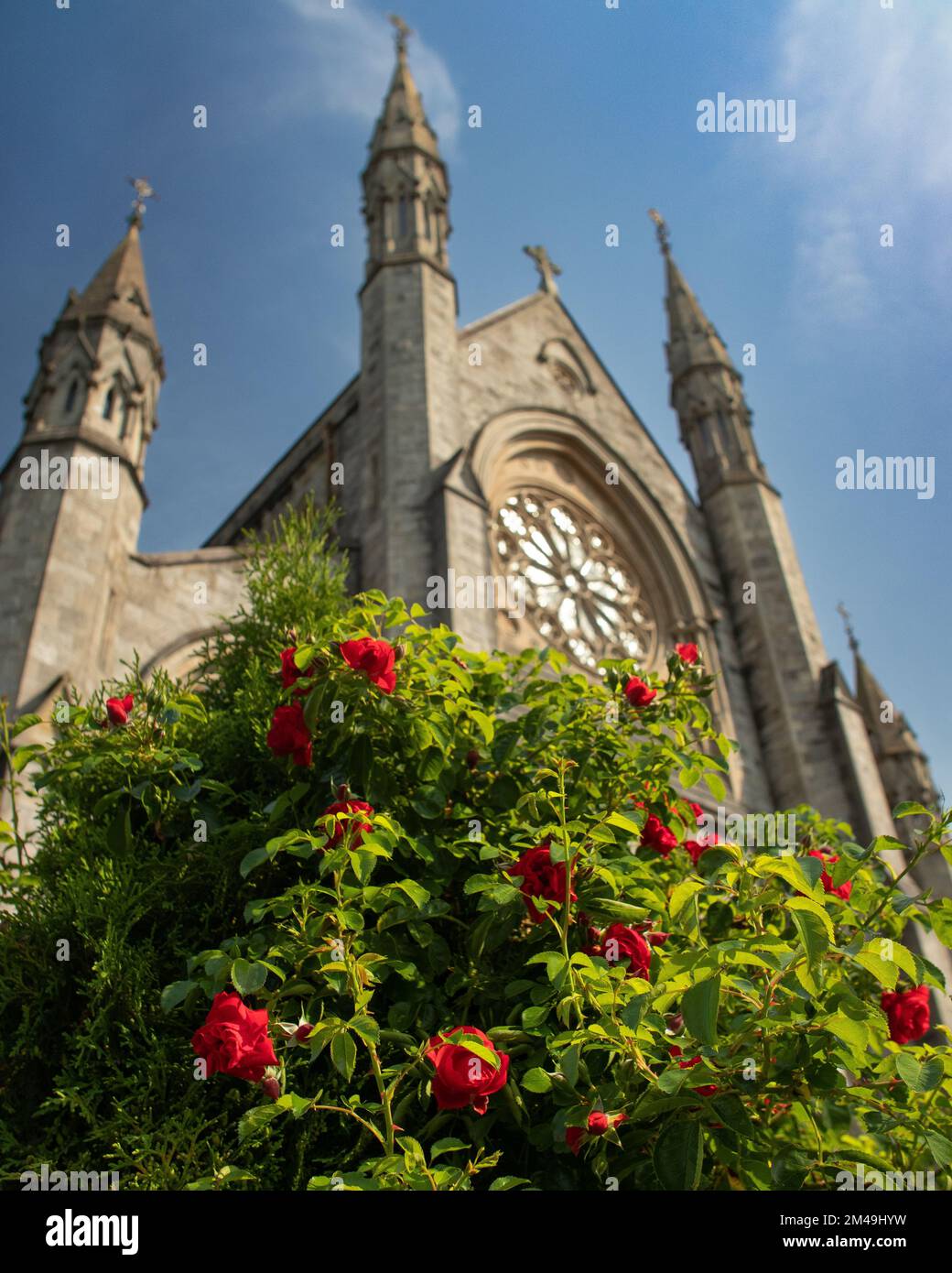 Vertical shot cathedral view hi-res stock photography and images - Alamy