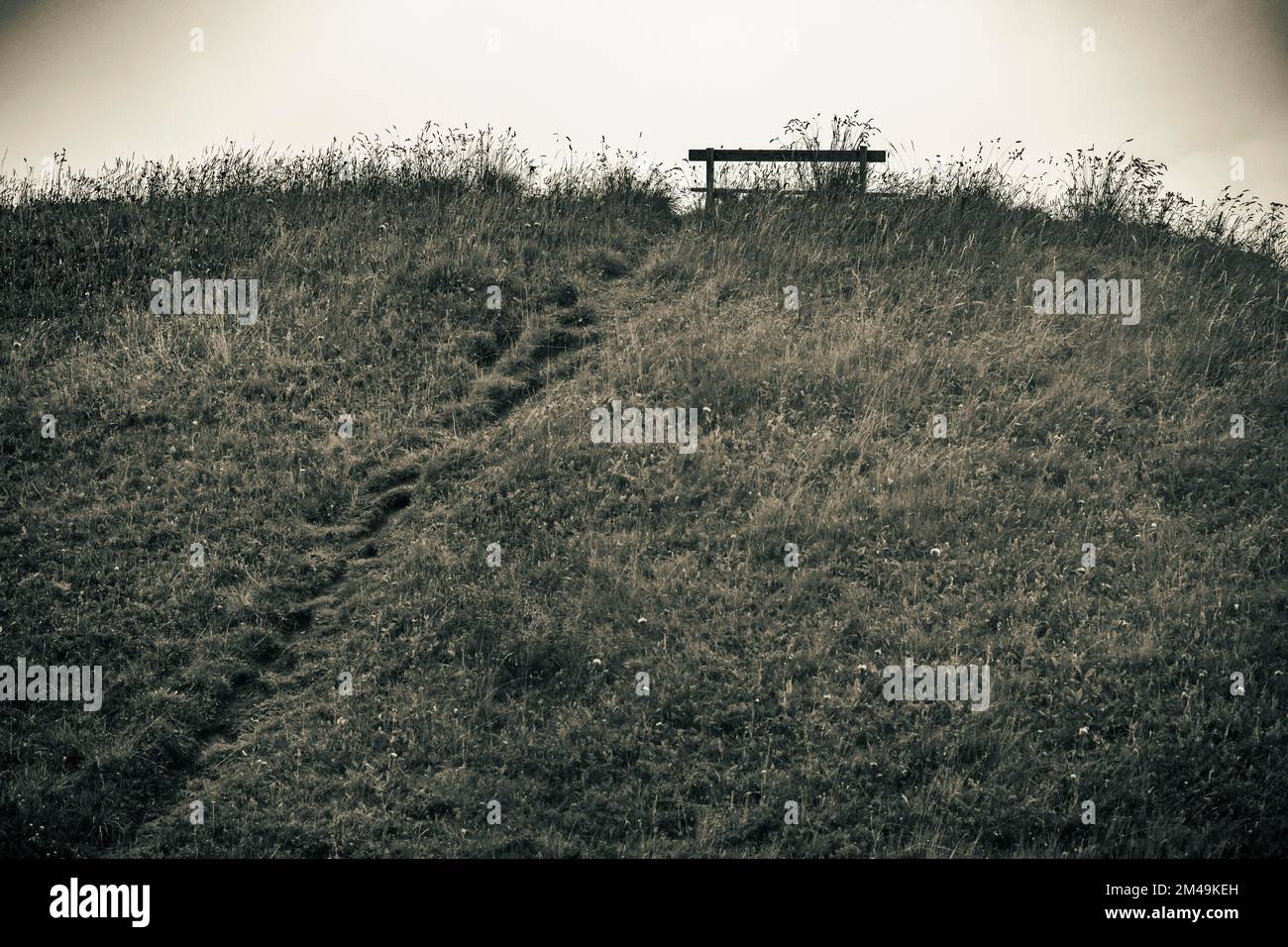 Mountain meadow with bench and dramatic clouds in the background, Bach ...