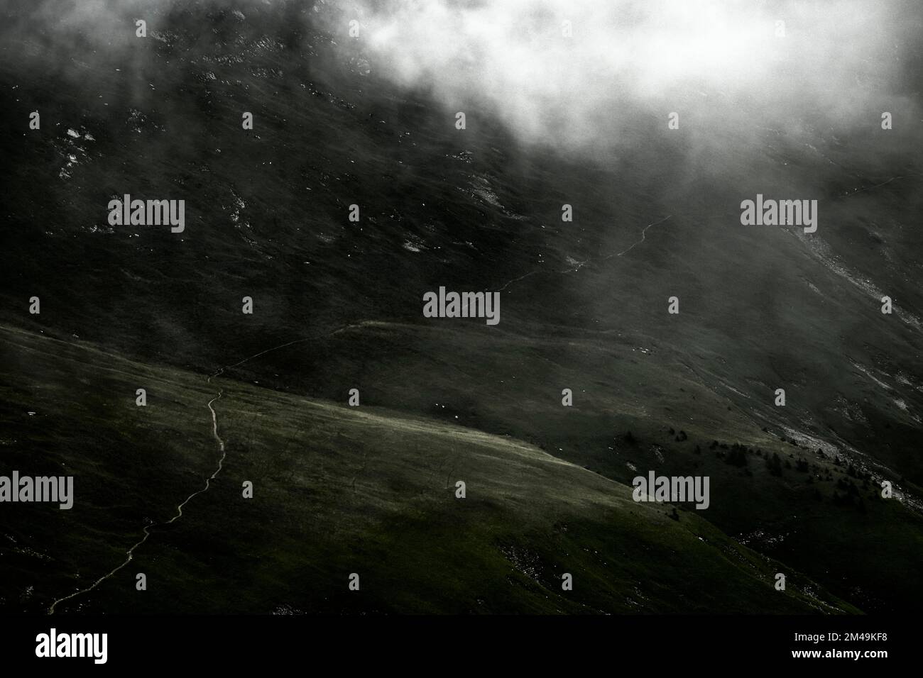 Mountain path in mountain meadow with remains of fog, stream, Lechtal ...