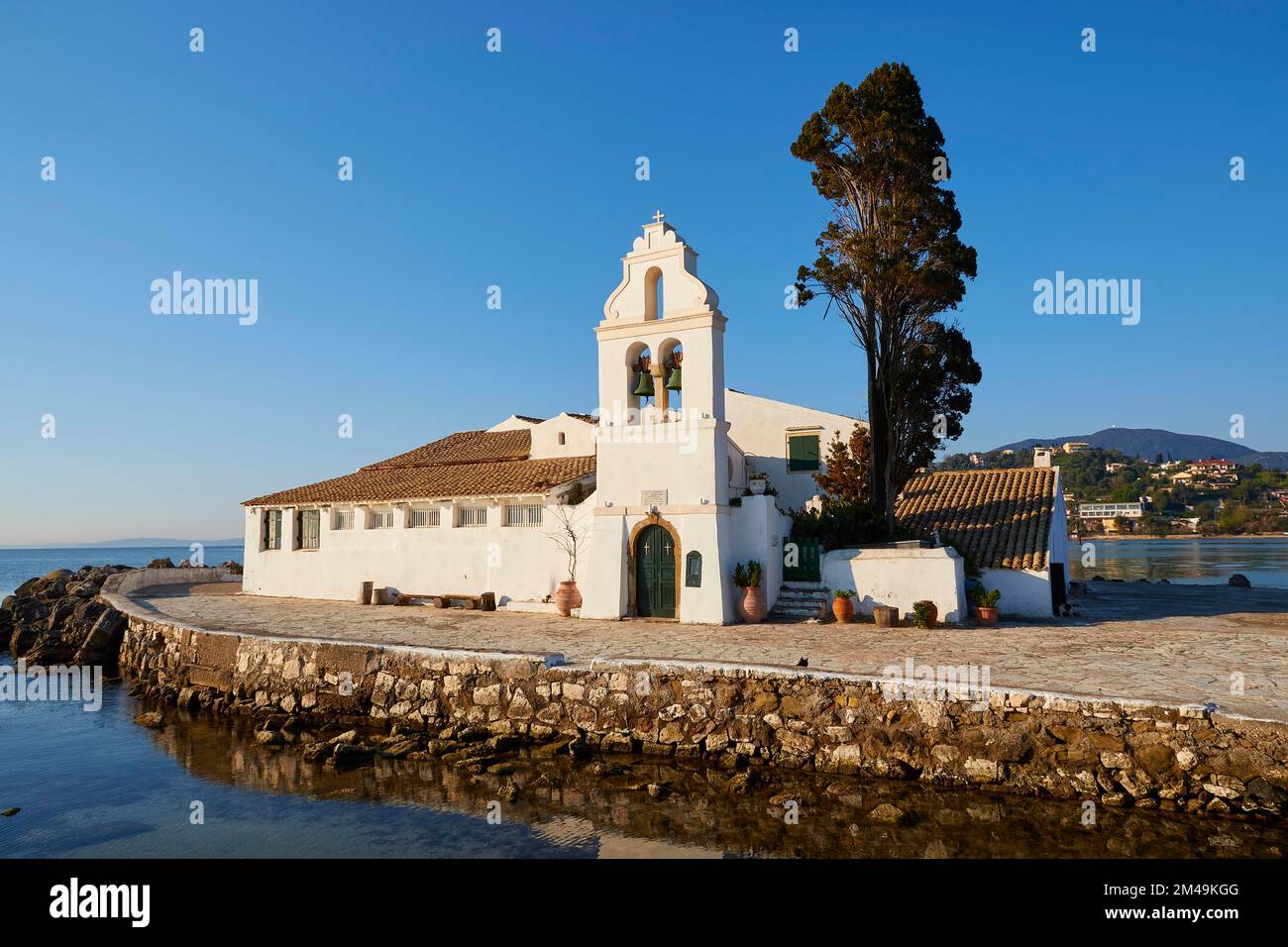 Morning light, white monastery building, church tower, large tall tree ...