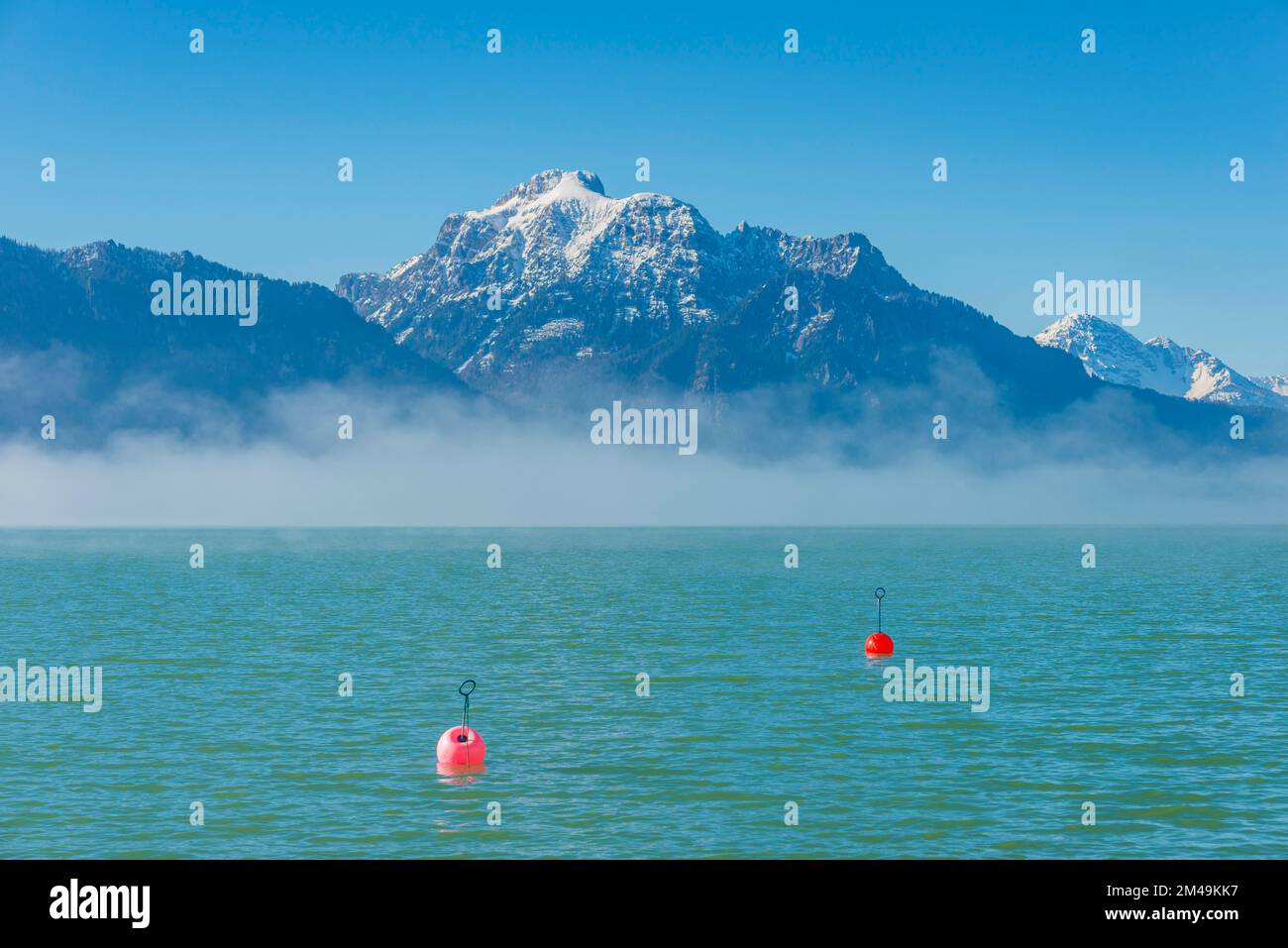 Morning atmosphere at the Forggensee, near Fuessen, Ostallgaeu, Allgaeu ...