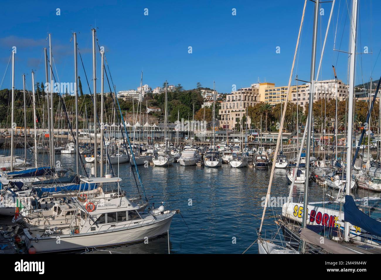 Marina, Port, Funchal, Madeira Island, Portugal Stock Photo - Alamy