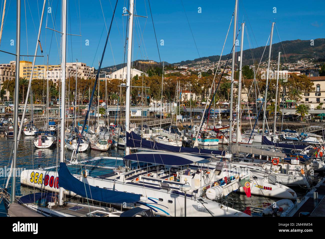 Marina, Port, Funchal, Madeira Island, Portugal Stock Photo - Alamy