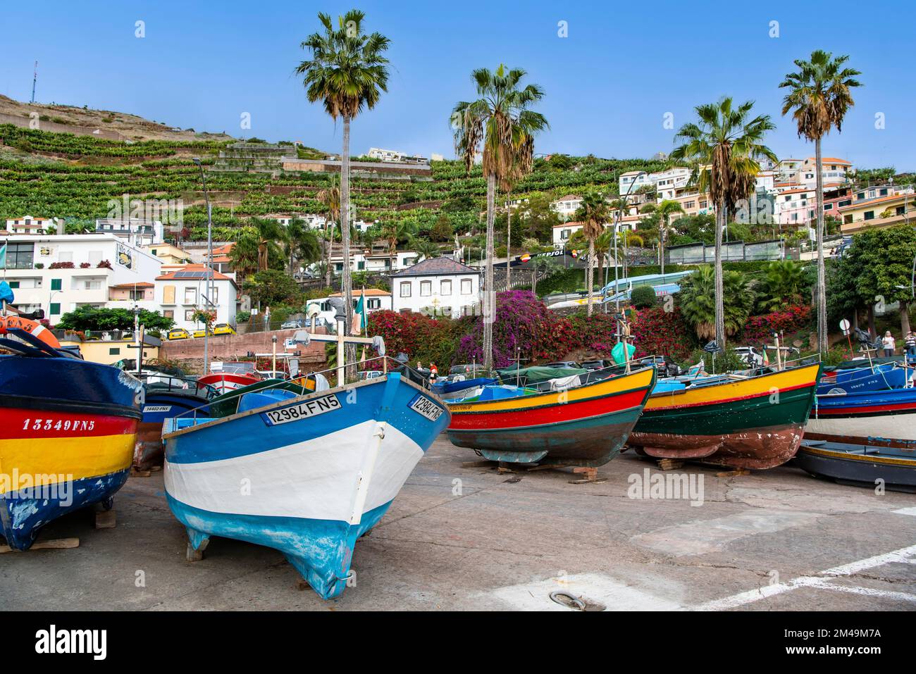 Colourful fishing boats in the harbour of Camara de Lobos, Funchal ...