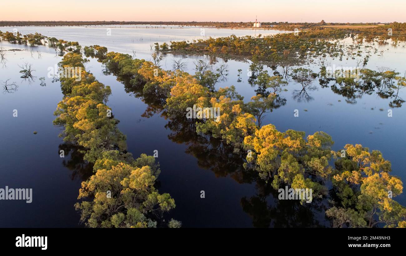 High angle of trees and floodwaters across the Meridian Road floodplain ...