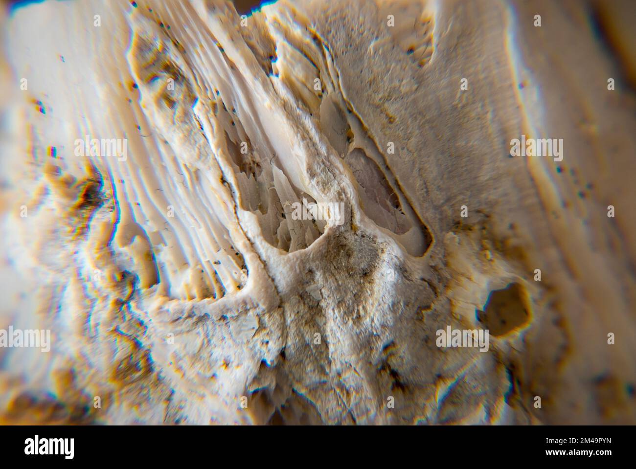 A beautiful view of geological rock formation for background and ...