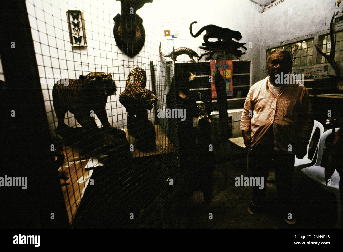 A man is photographed with zoological specimens that are displayed at a ...