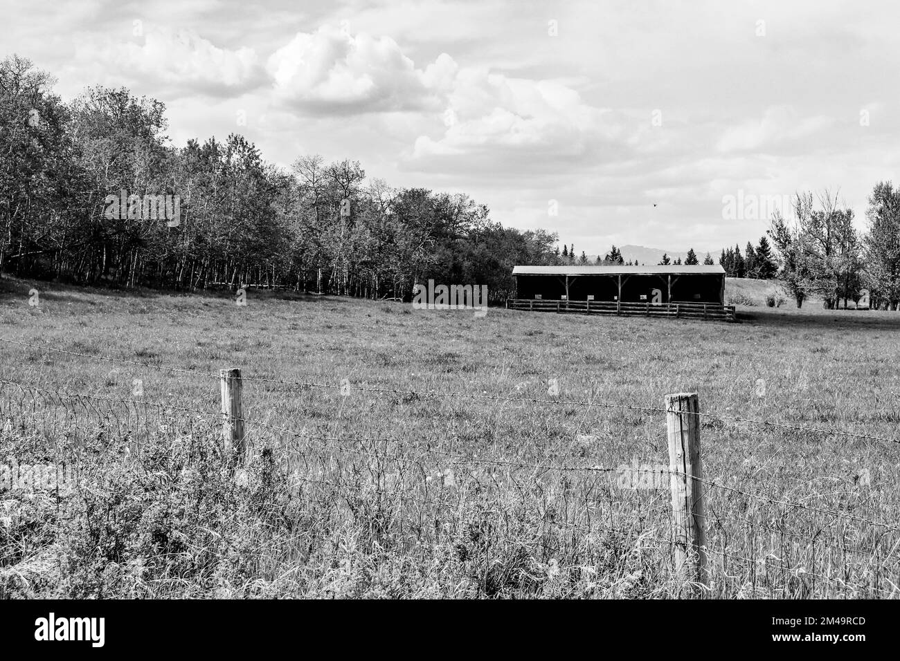Old country farm hi-res stock photography and images - Alamy