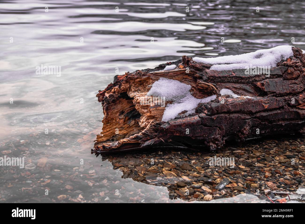 Log in a lake hi-res stock photography and images - Alamy