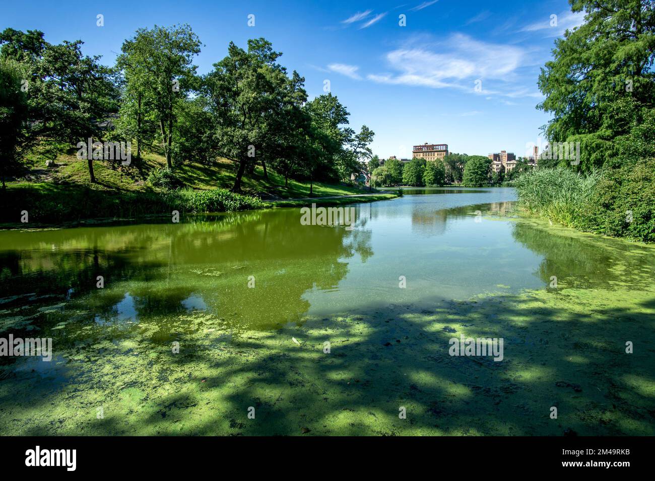 New York, NY - USA - July 20, 2018 Wide angle view of scenic Harlem ...