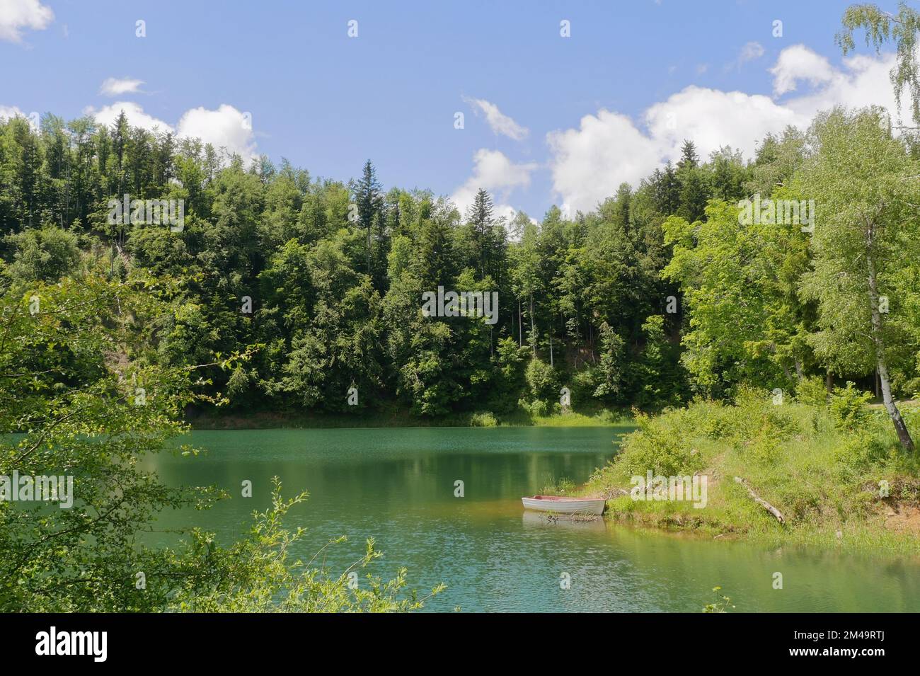 A beautiful view of the Kupa River with a small wooden boat surrounded ...