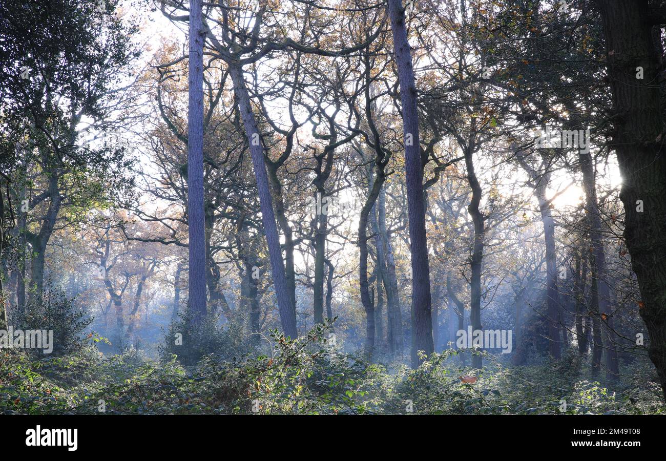 Mist birmingham hi-res stock photography and images - Alamy