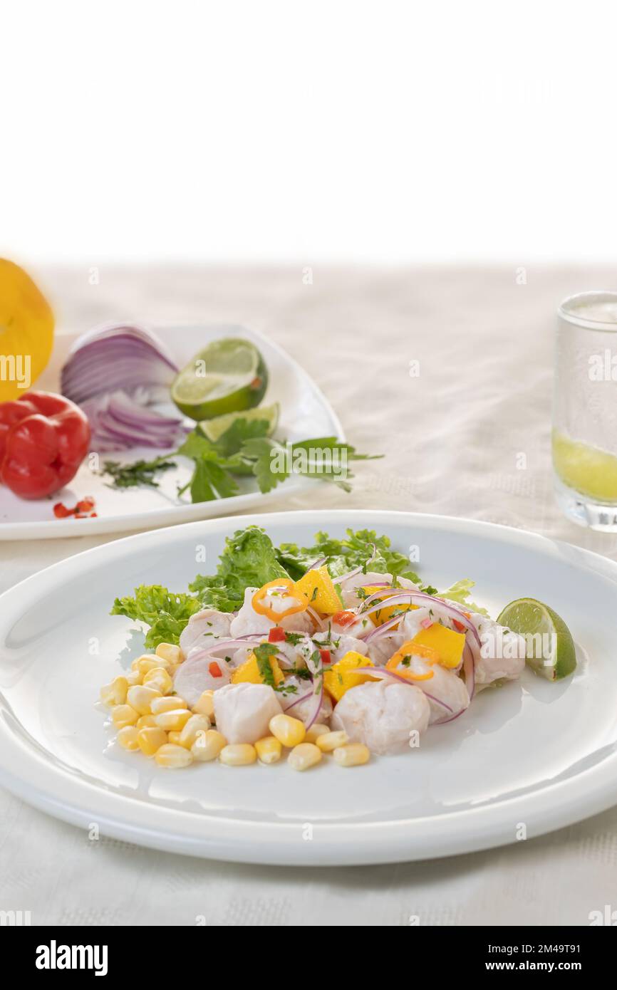 Ceviche, typical dish of Peruvian cuisine. Seafood of Peru Stock Photo ...