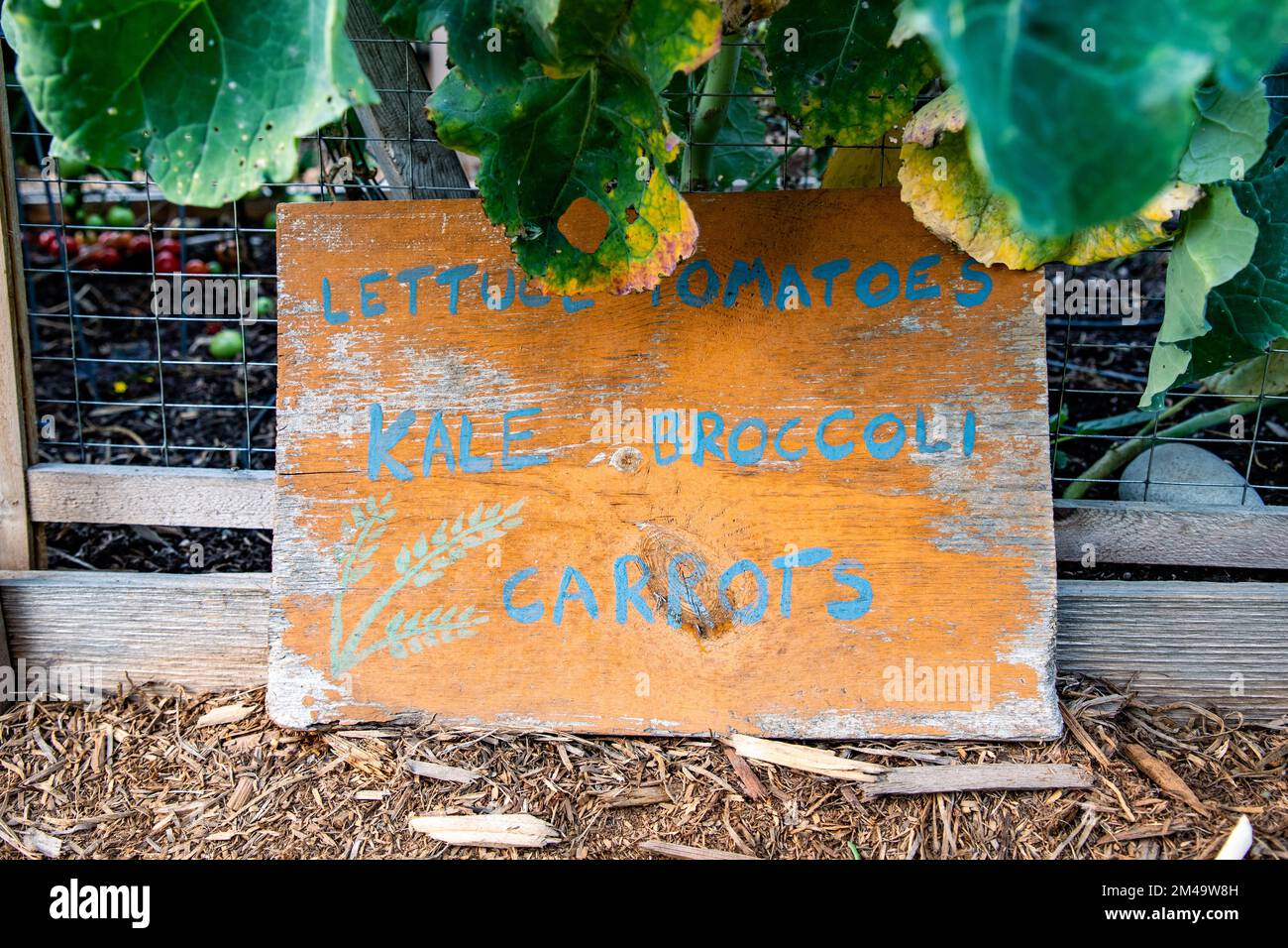 Hand painted sign at community vegetable garden Stock Photo - Alamy