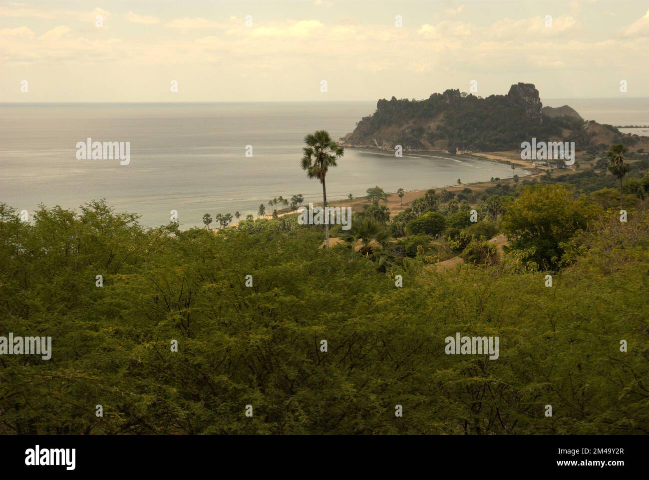 Rote Ndao, East Nusa Tenggara, Indonesia. Landscape of Rote Island, in ...