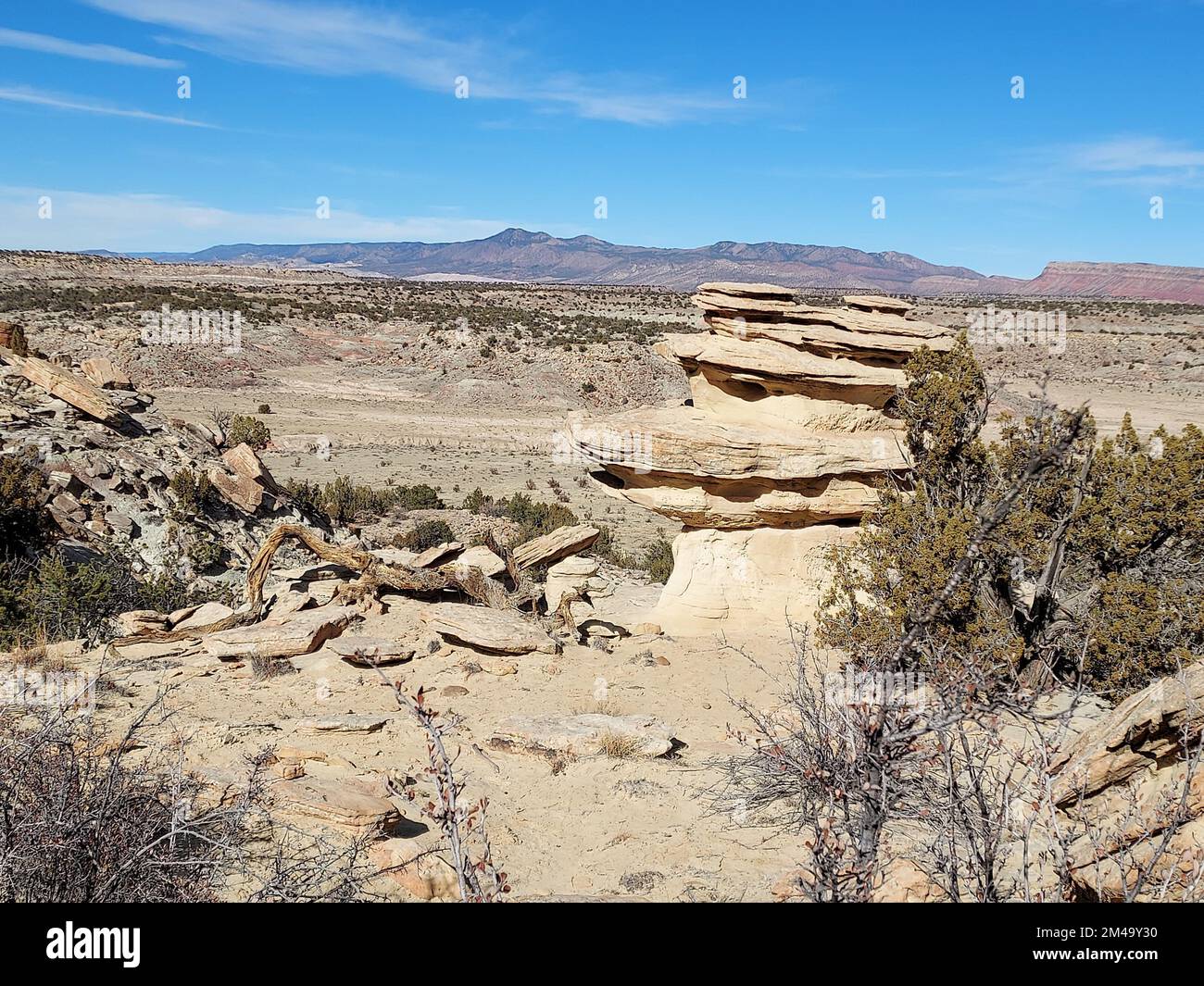 A desert landscape with natural geological formation stones and dry ...