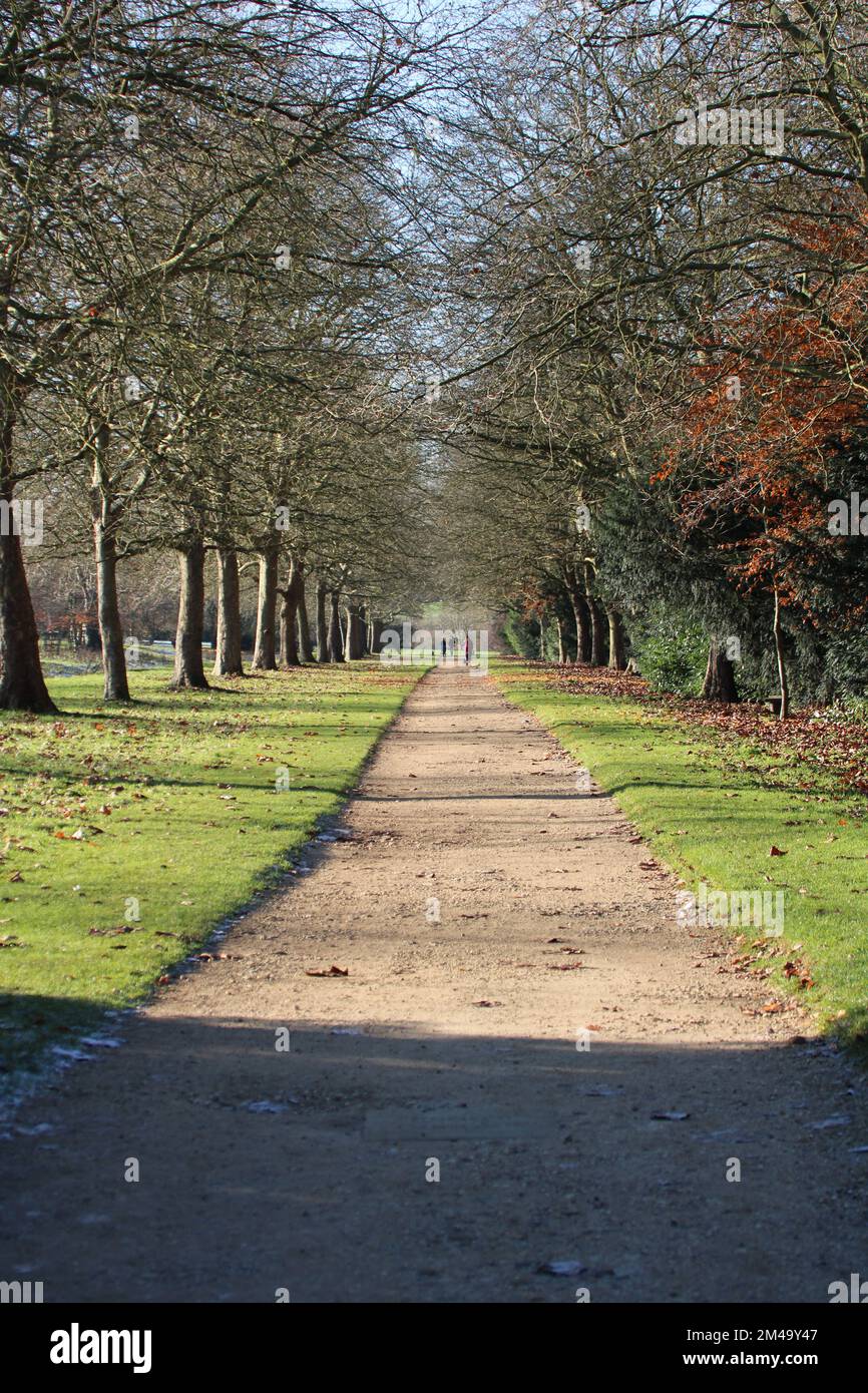 A vertical shot of a pathway between grass landscapes and autumn trees ...
