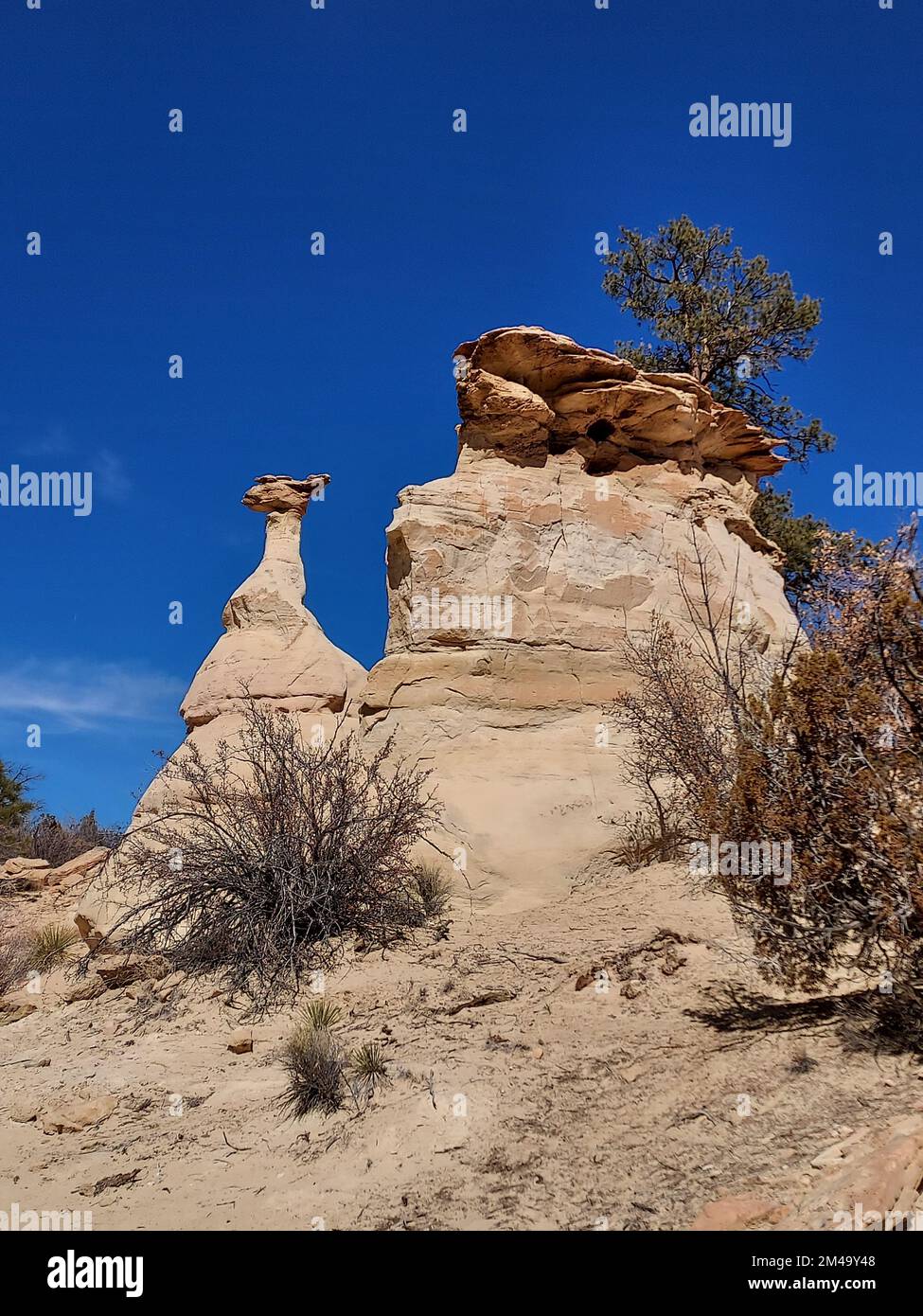 A vertical shot of natural geological formation stone surrounded by dry ...