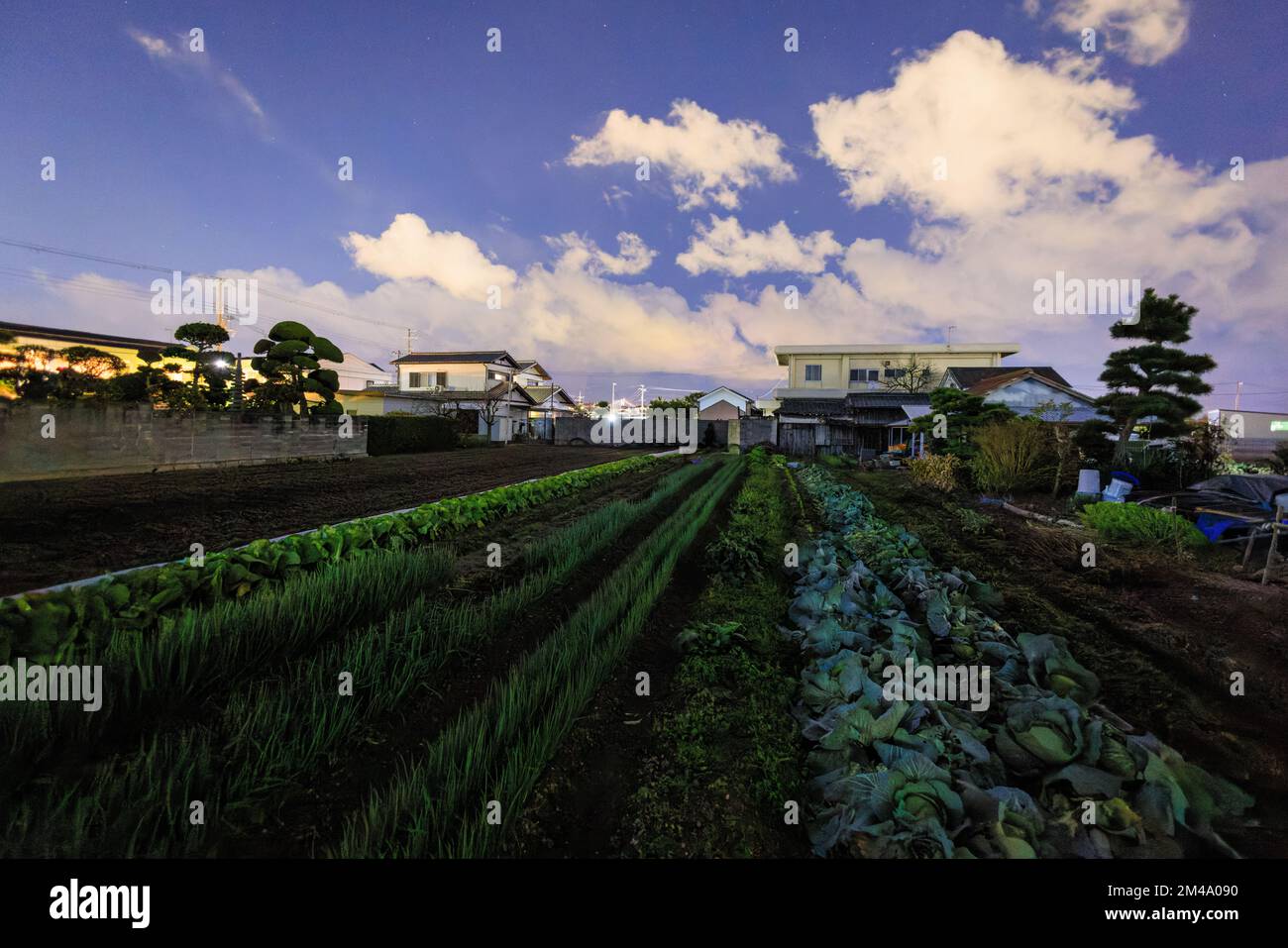Rows of crops on small farm next to houses under clouds at night Stock ...