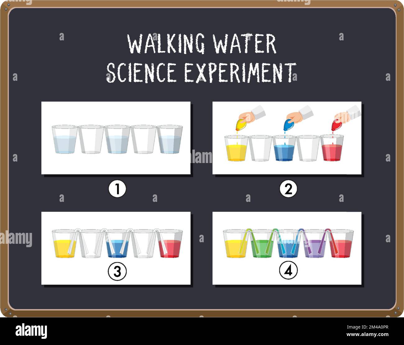 Walking Water Science Experiment illustration Stock Vector Image & Art ...