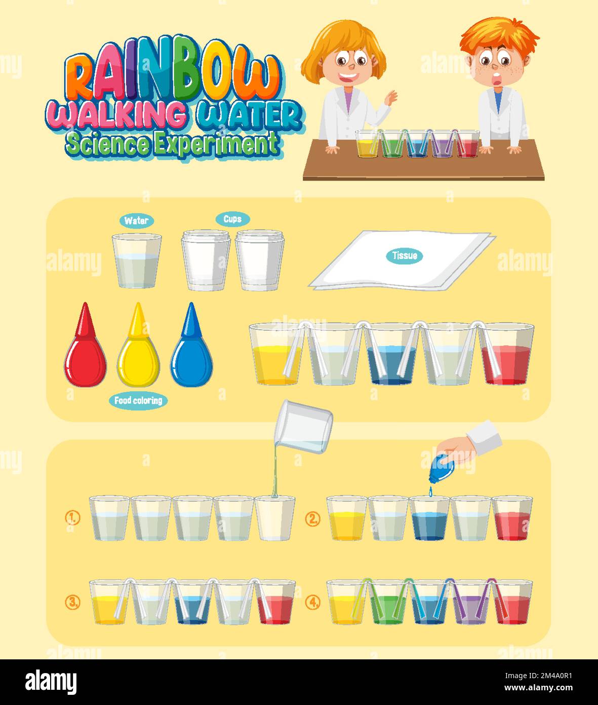 Rainbow walking water science experiment illustration Stock Vector ...