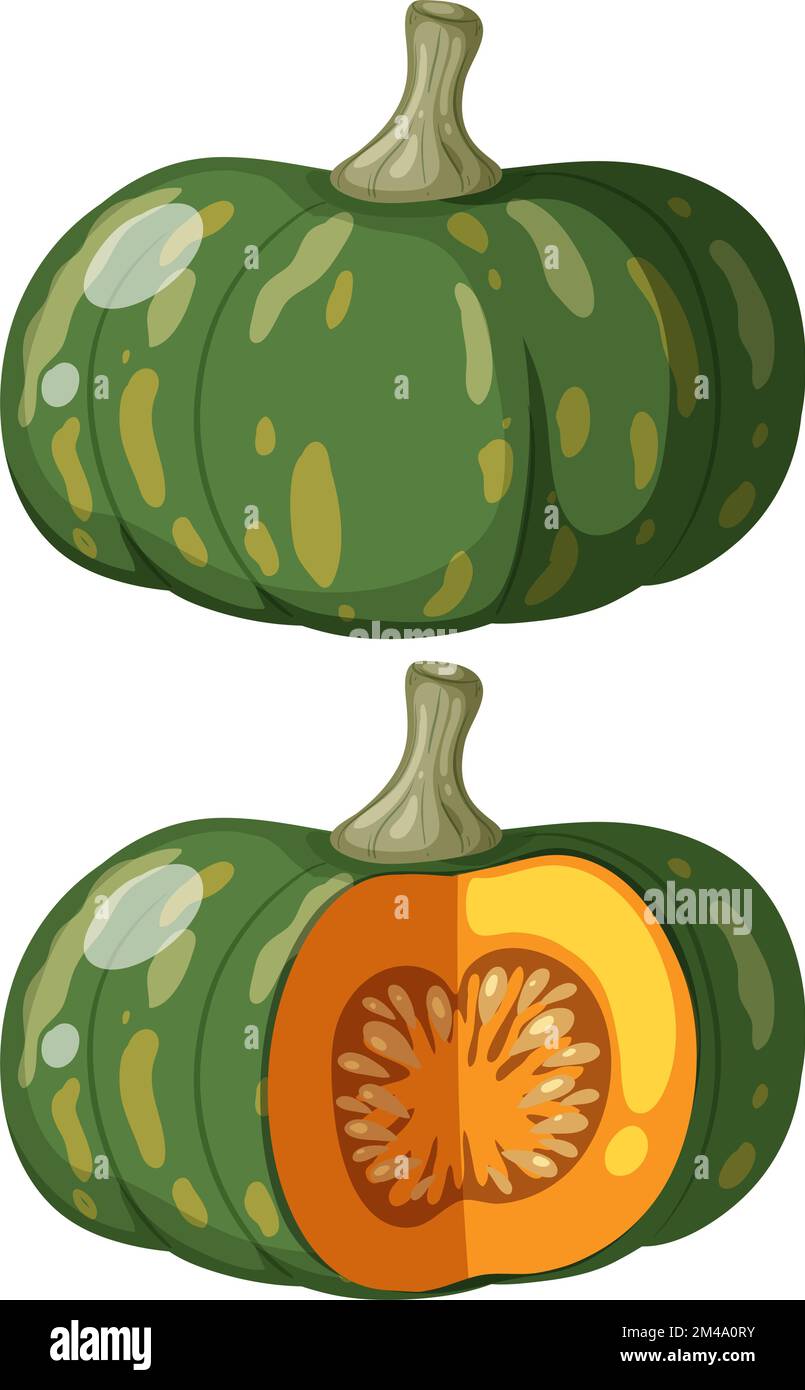Pumpkin cut vector on white background illustration Stock Vector Image ...