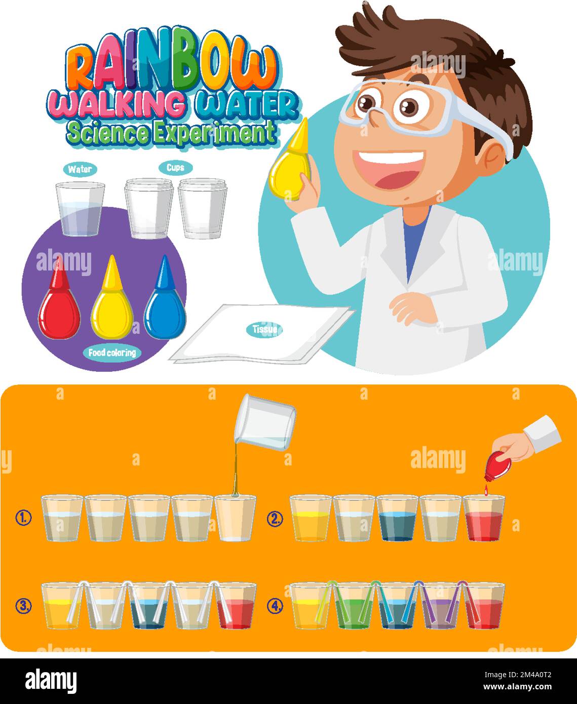 Rainbow walking water science experiment illustration Stock Vector ...