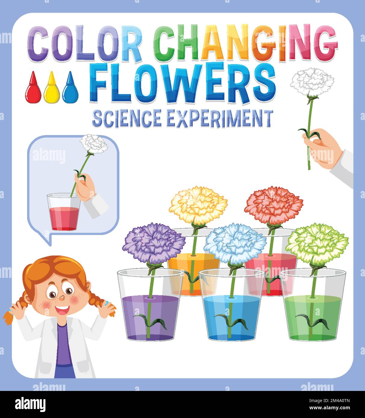 Color changing flowers science experiment illustration Stock Vector ...