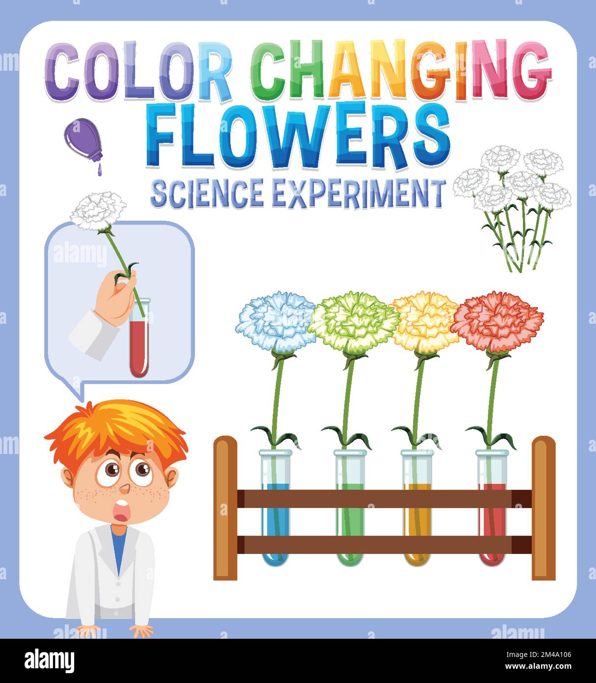 Color changing flowers science experiment illustration Stock Vector ...