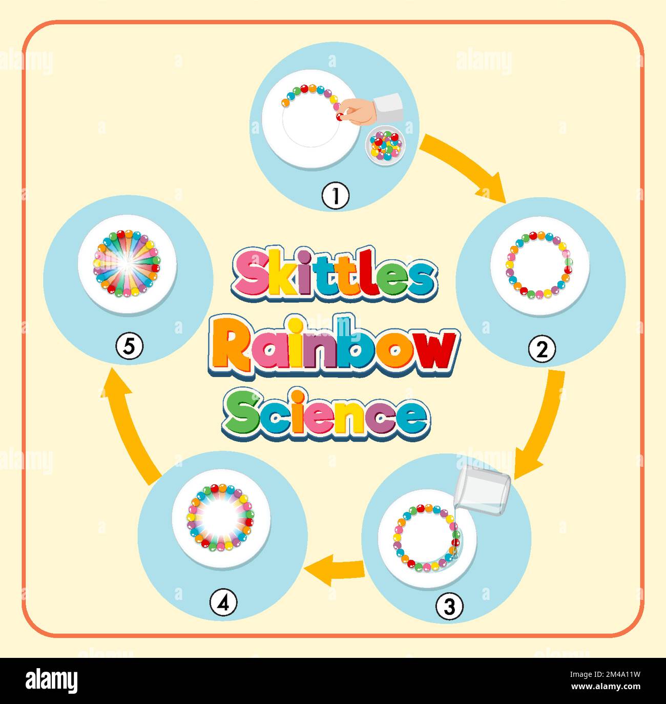 Rainbow skittles science experiment illustration Stock Vector Image ...