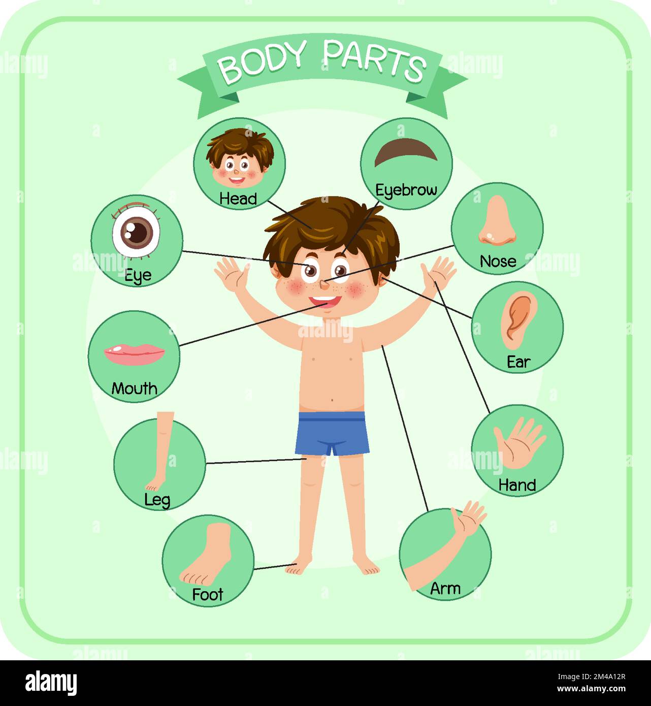 Blank body parts cartoon hi-res stock photography and images - Alamy