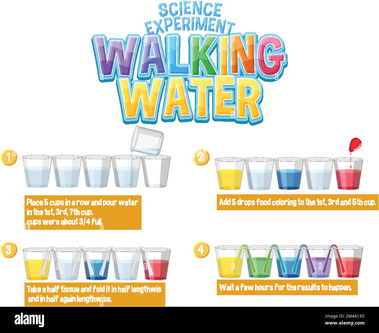 Walking water science experiment illustration Stock Vector Image & Art ...