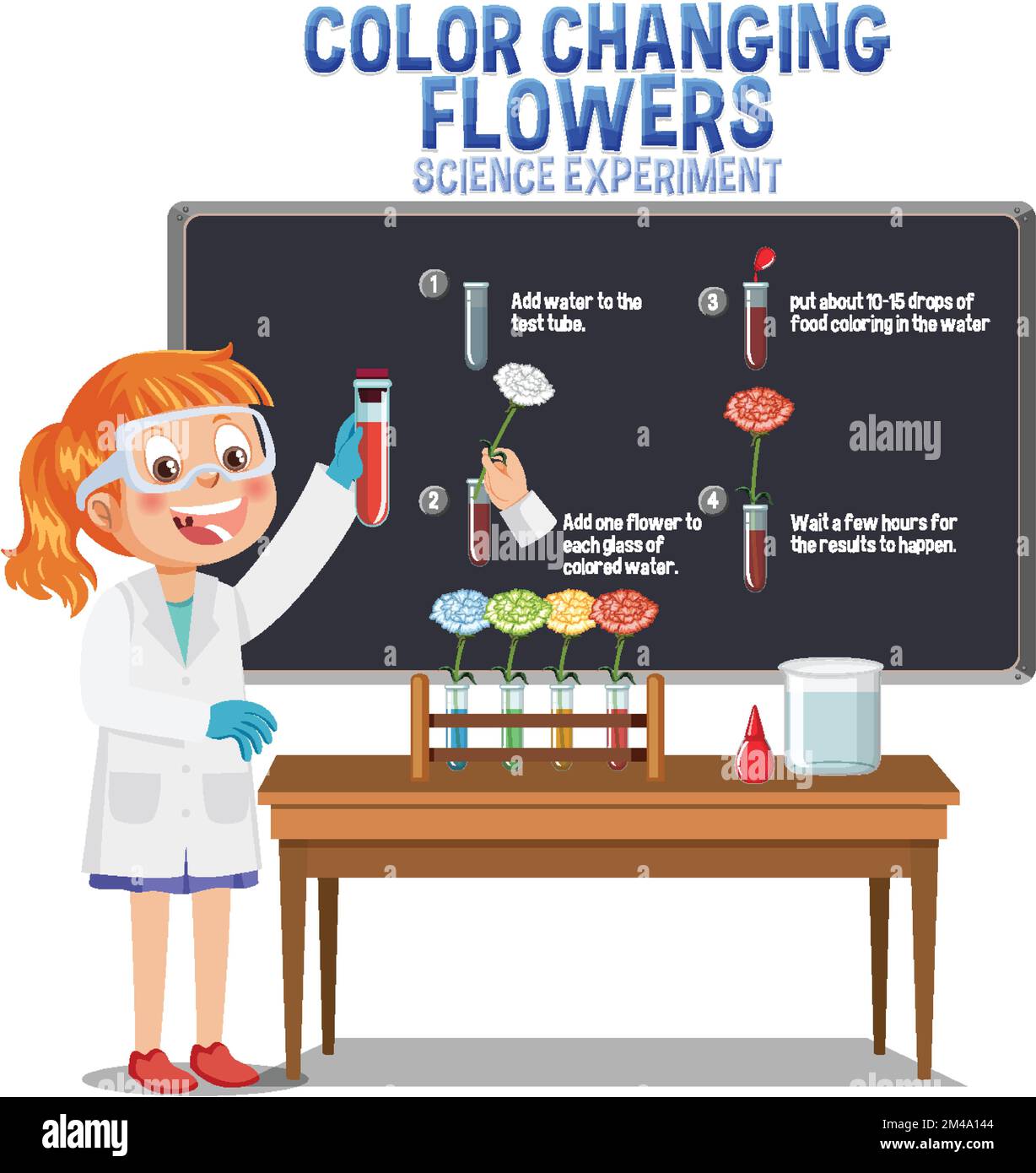 Color Changing Flowers Science Experiment illustration Stock Vector Image & Art - Alamy