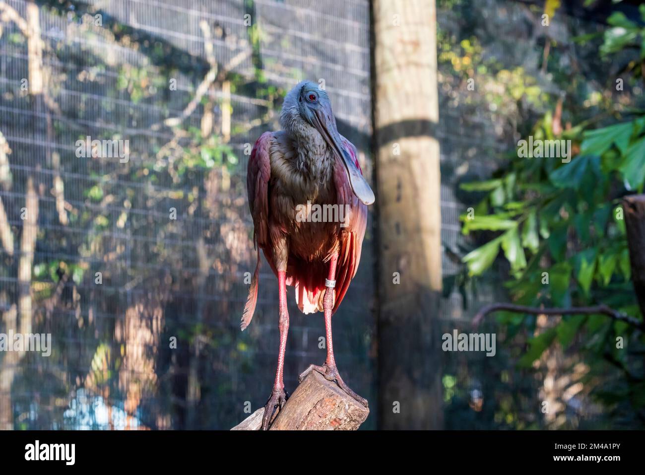 Climate and nature bill hi-res stock photography and images - Alamy