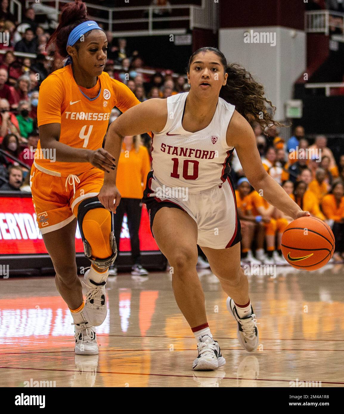 2022 0553 jpg hi-res stock photography and images - Alamy