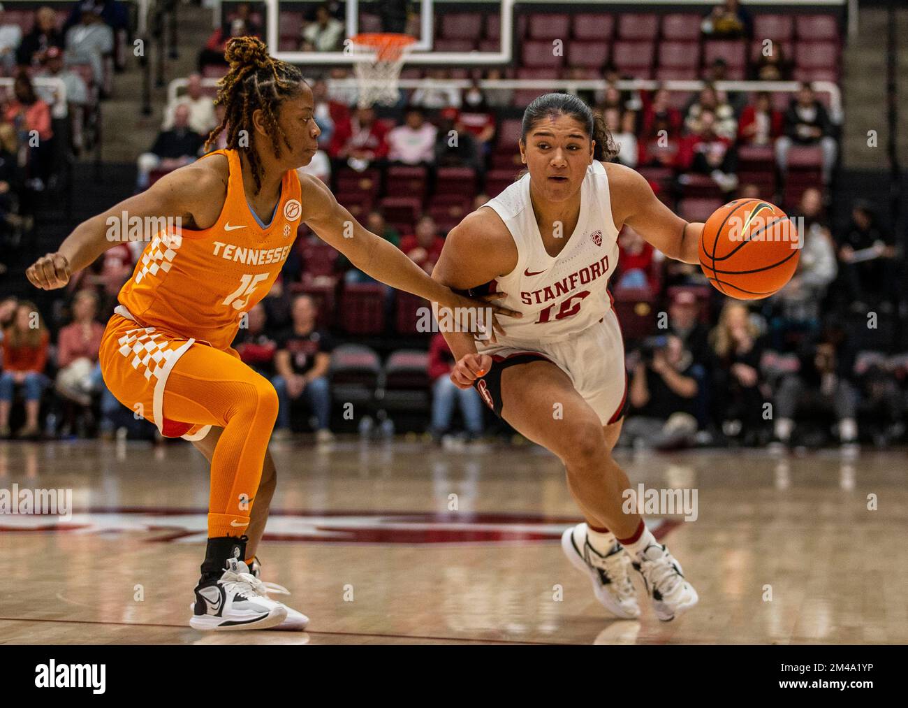 2022 0669 jpg hi-res stock photography and images - Alamy