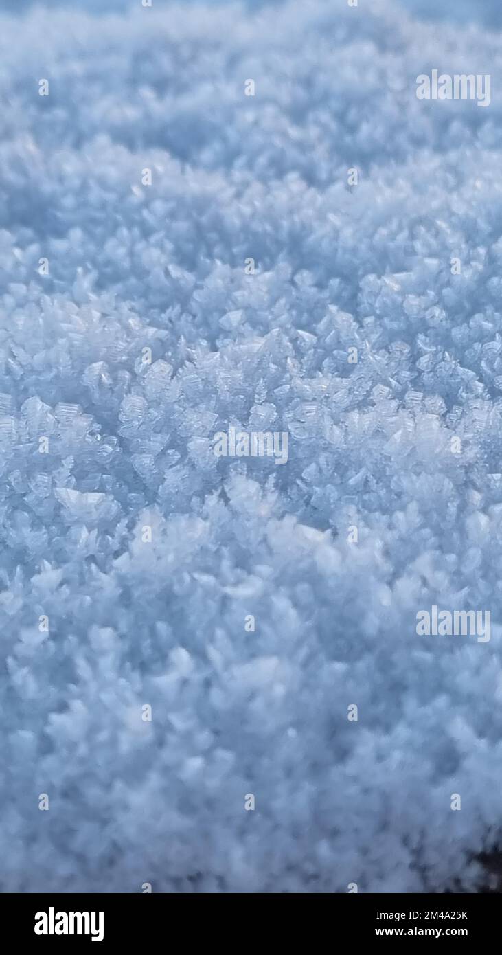 A vertical shot of icy snow covers plants field in the winter Stock ...