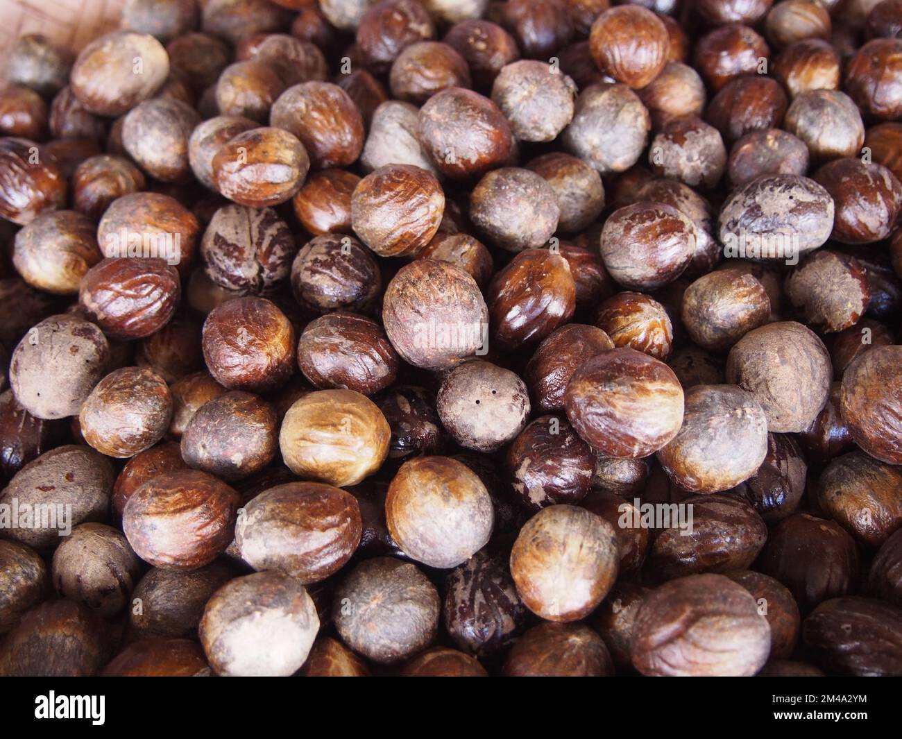 Minahasa tourism hi-res stock photography and images - Alamy