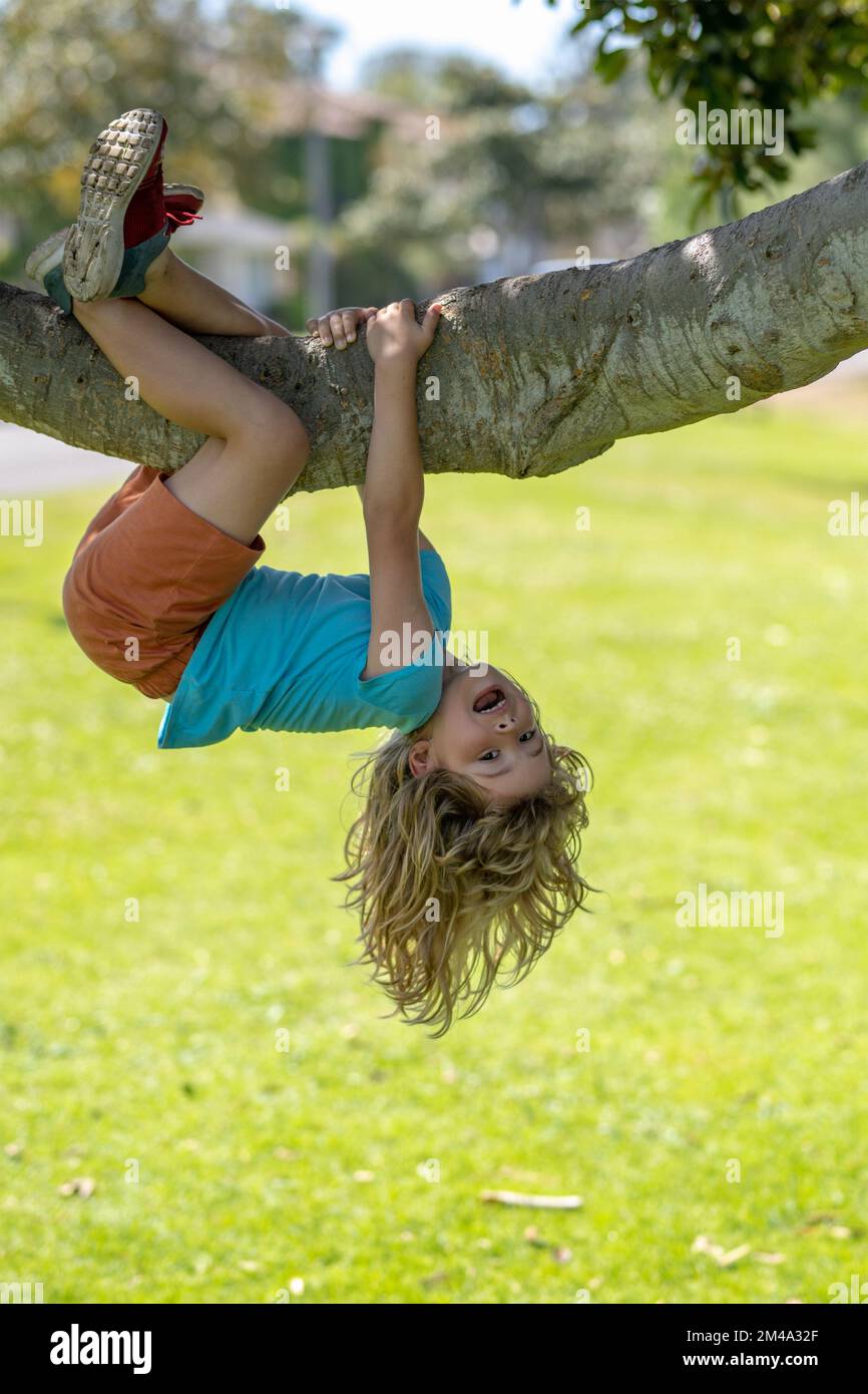 8 years old boy climbing high tree in the park. Overcoming the fear of ...