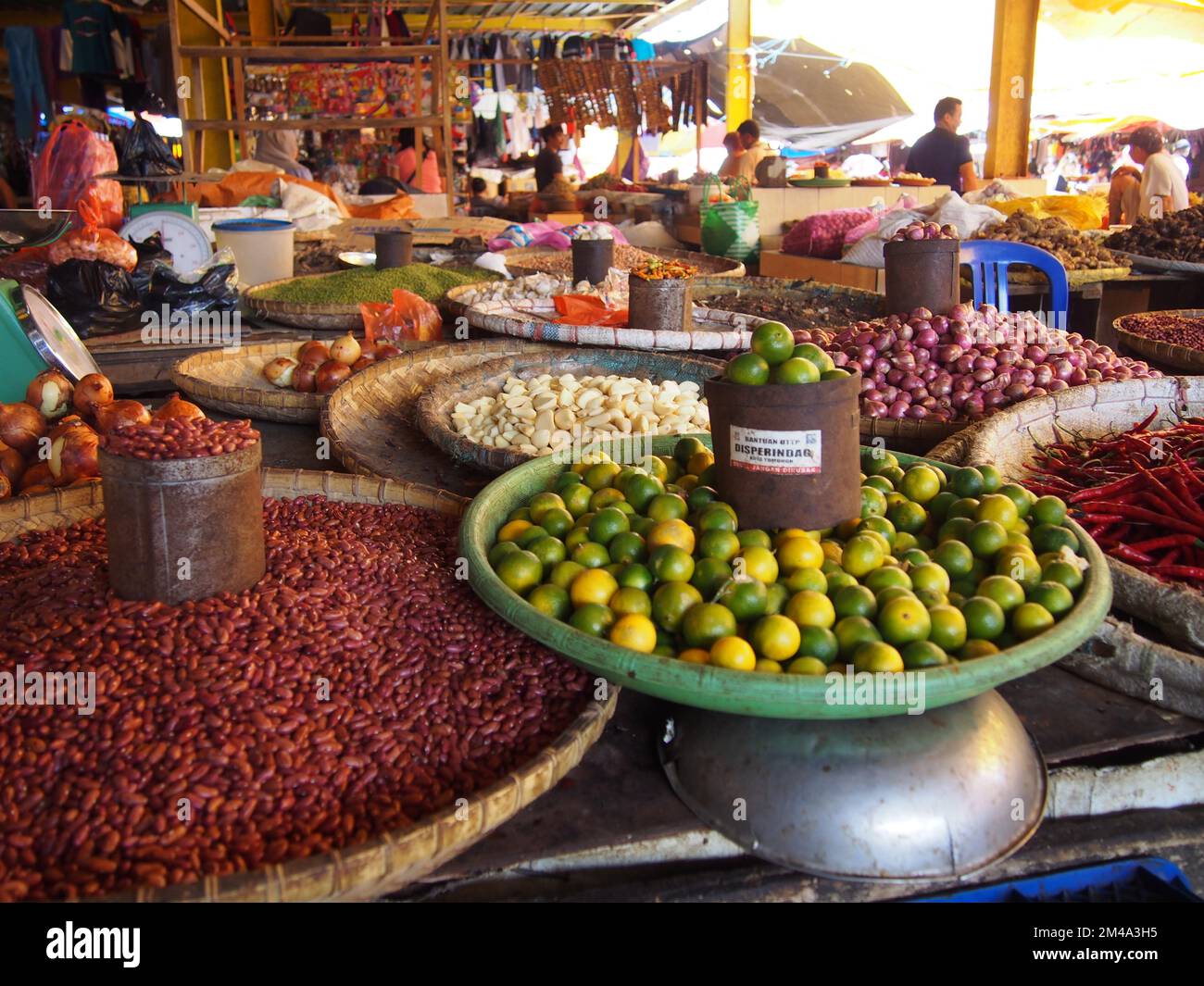 Indonesia snake road hi-res stock photography and images - Alamy