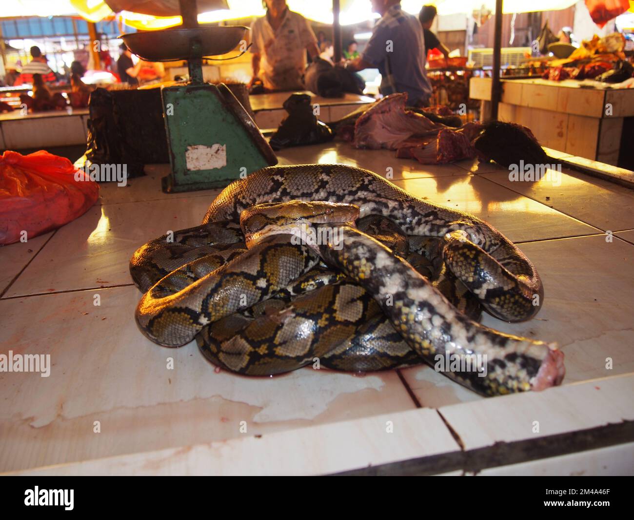 Extreme market: Manado Indonesia Stock Photo - Alamy