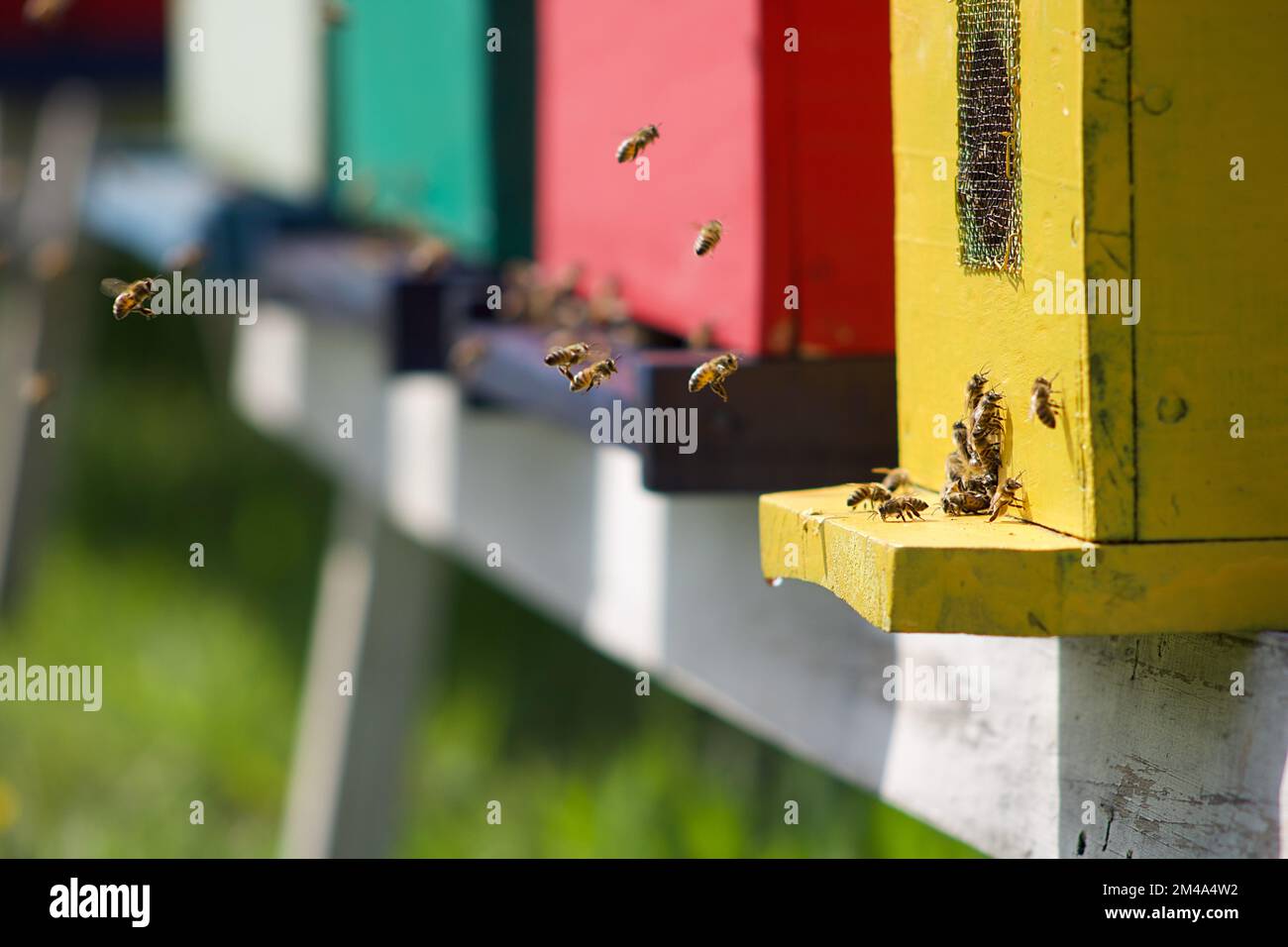 Flight movements hi-res stock photography and images - Alamy