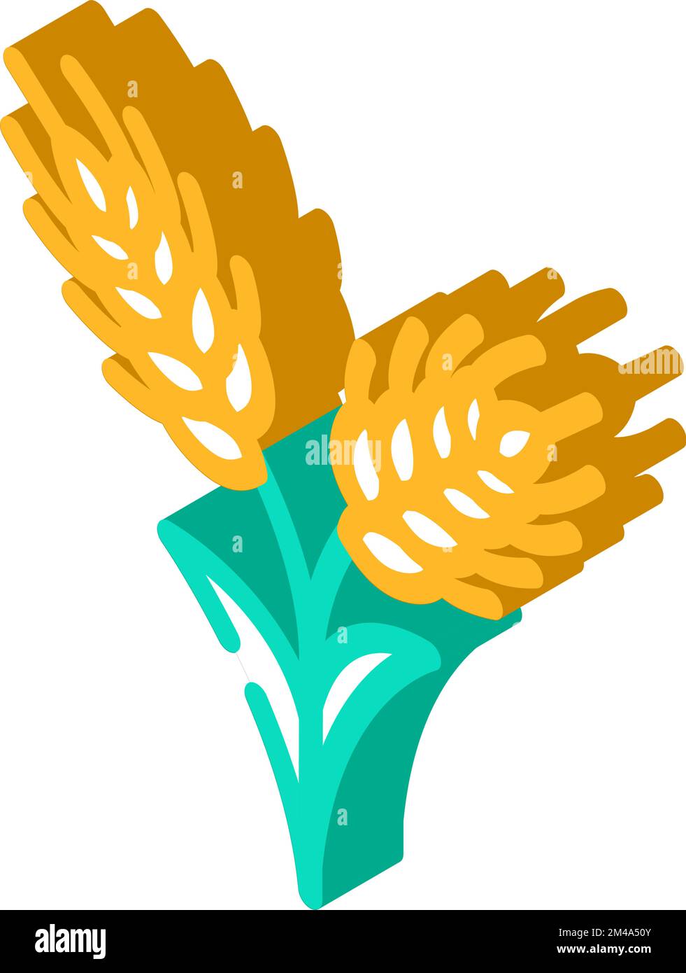 rye plant food isometric icon vector illustration Stock Vector Image ...