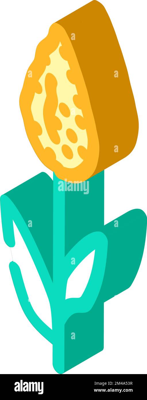 Sorghum symbol hi-res stock photography and images - Alamy