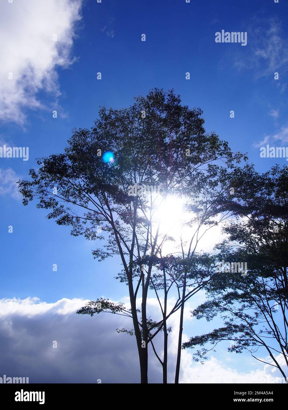 Manado Extreme market and Northern Minahasa Stock Photo - Alamy